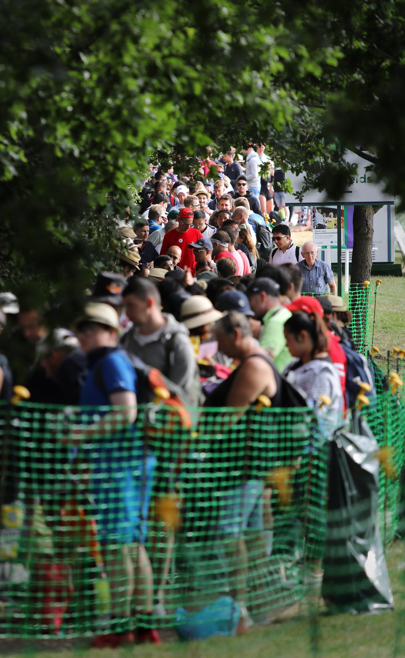 These pictures of the insane Wimbledon queue might make you quite happy ...