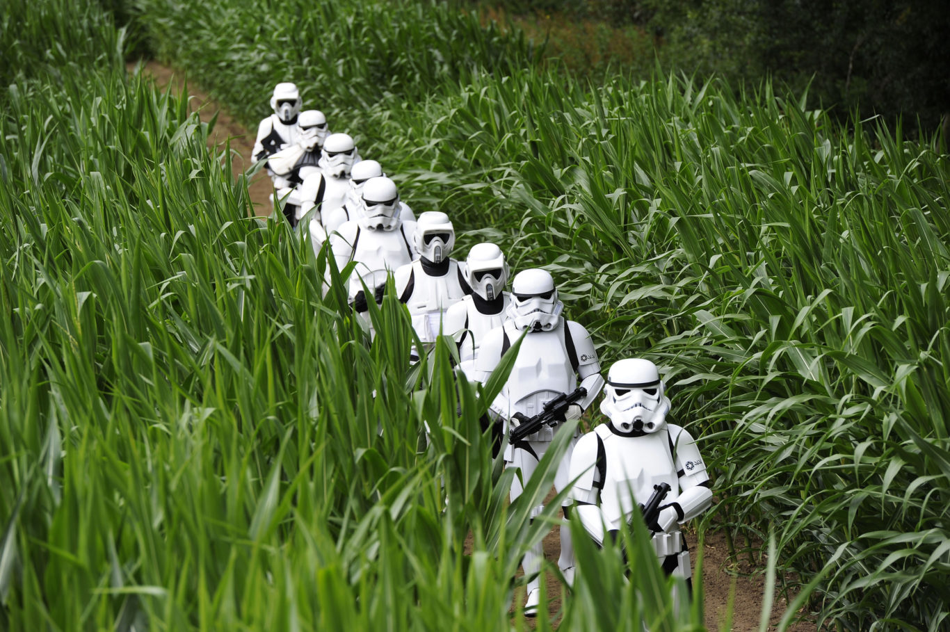 Calling all Star Wars fans: You need to visit this new maze
