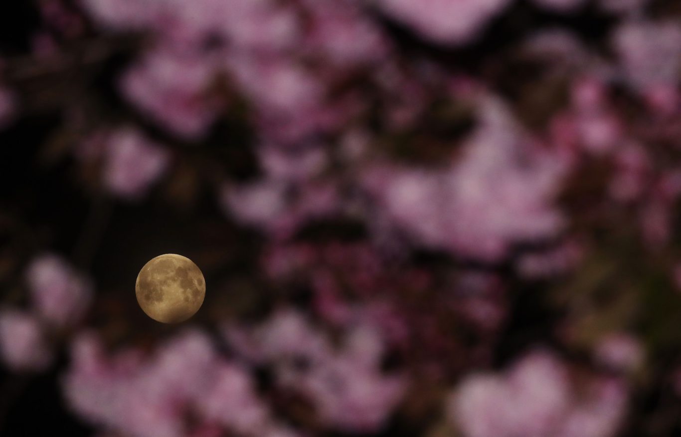 8 different types of moon to celebrate Moon Day - The Irish News