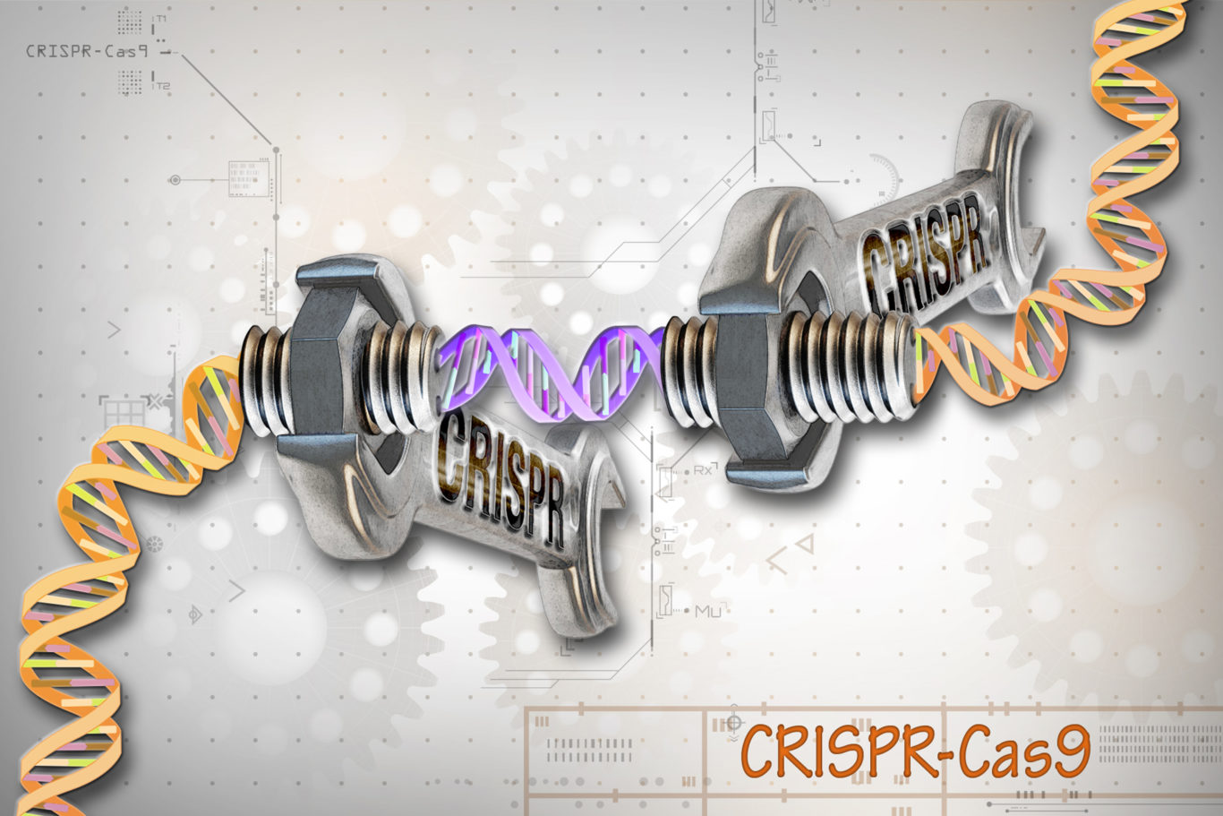 Crispr-Cas9: The gene editing tool scientists used to successfully ...
