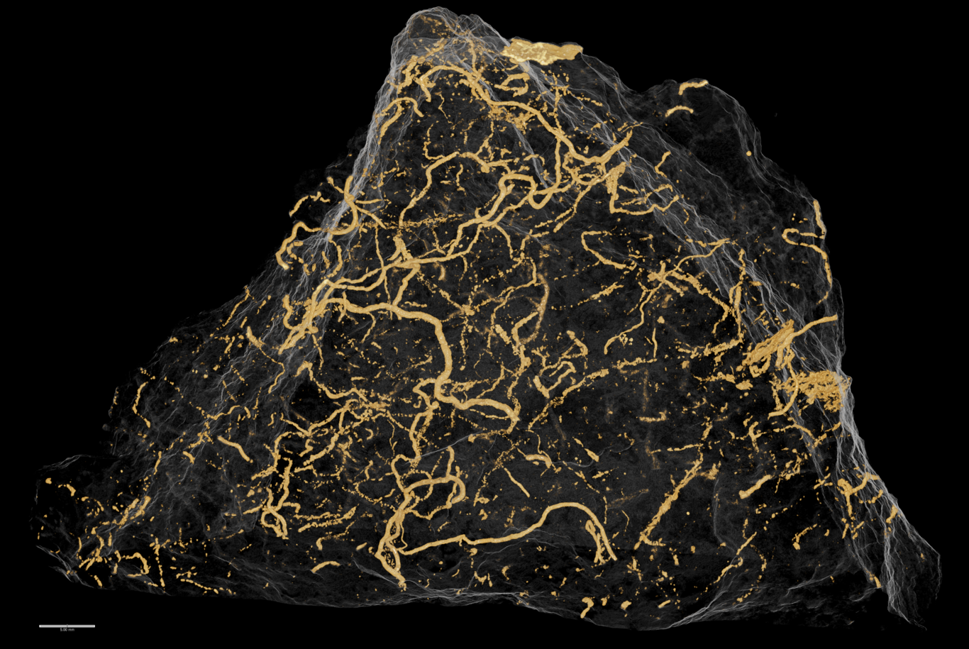 Traces of life suggest earlier existence of complex animals, scientists ...
