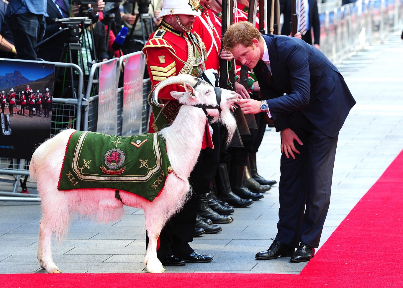 Army goat with royal and rugby connections dies - Jersey Evening Post