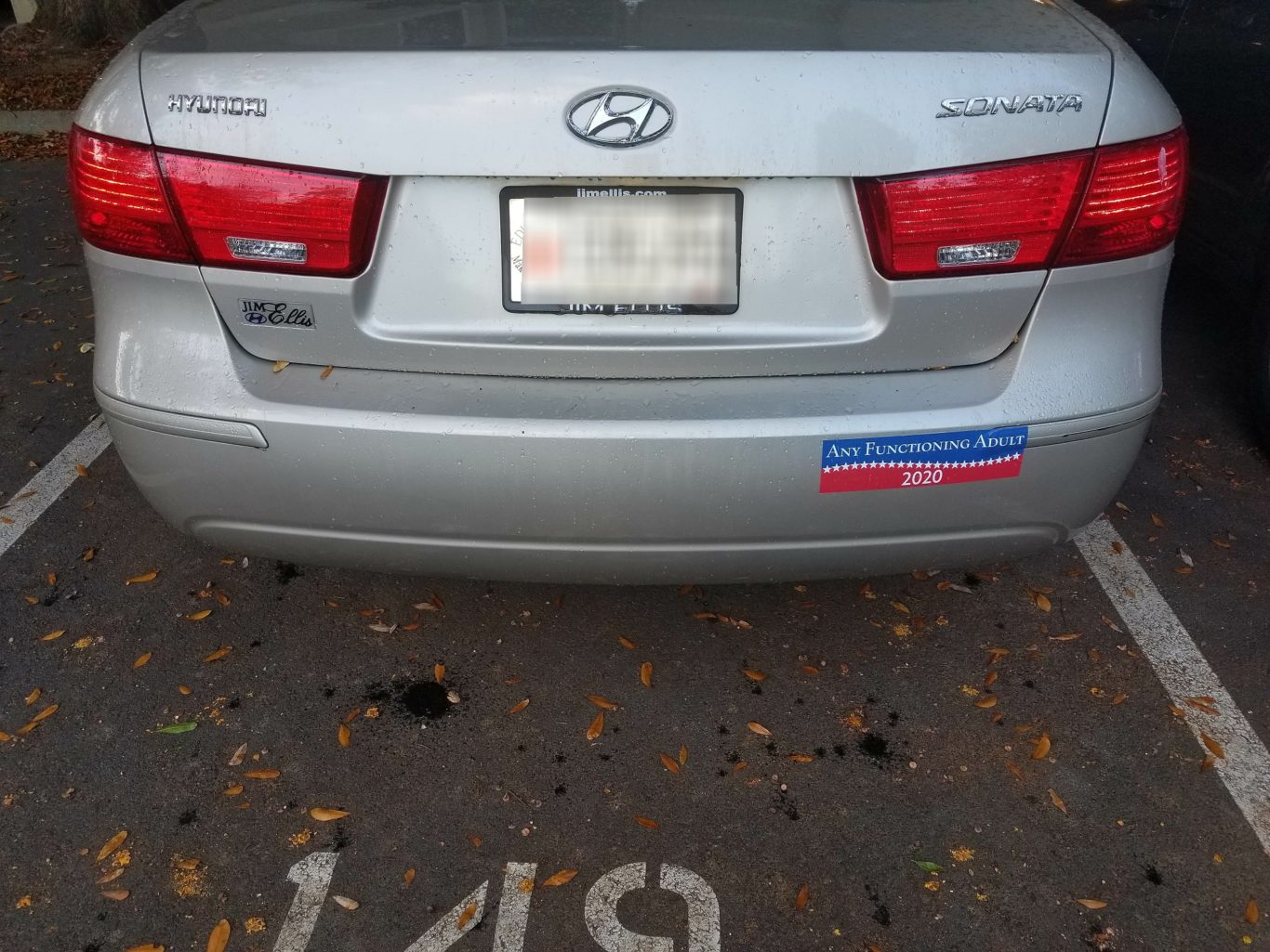 Meet the creator behind the bumper sticker taking the internet by storm ...