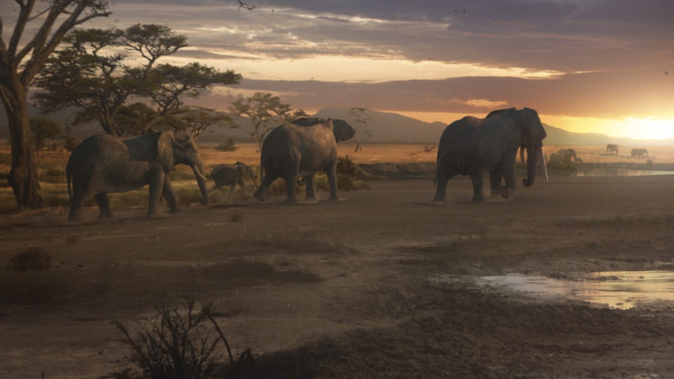 WWF's Christmas advert has a devastating message about elephants - The ...