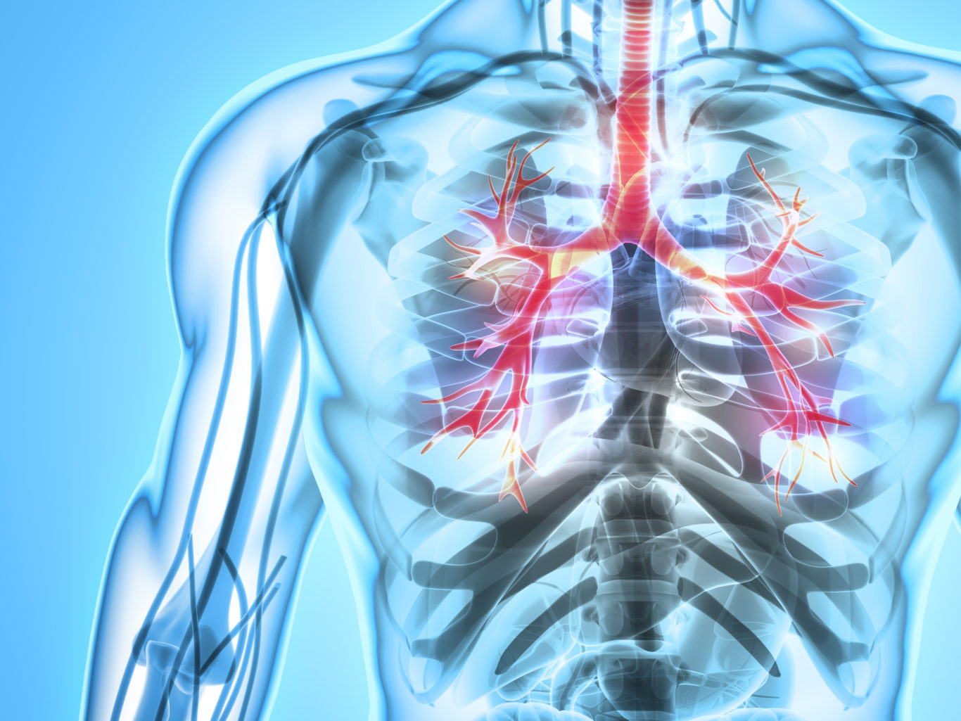 Asthma: The symptoms and treatment advice everybody needs to know about ...