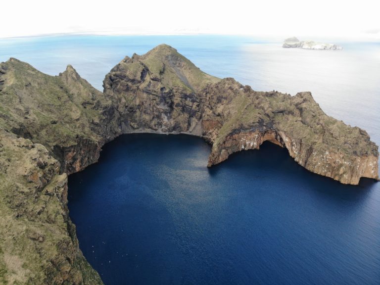 World’s first open water sanctuary created for beluga whales in ...
