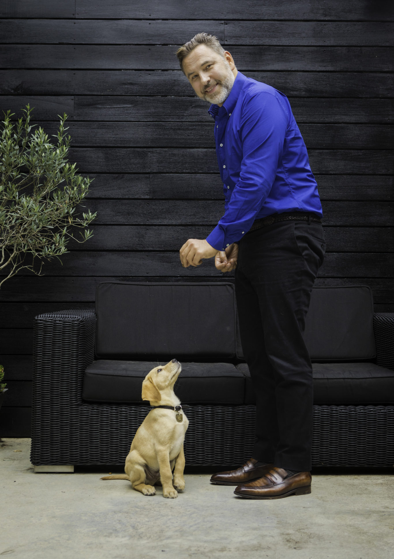 David Walliams meets his cute canine mini-me | Express & Star