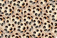 As Love Island s Yewande Opens Up About Her Trypophobia What Is The