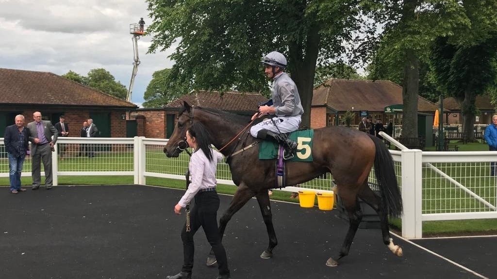Declan Carroll sets sights on York with Spartan Fighter after form boost