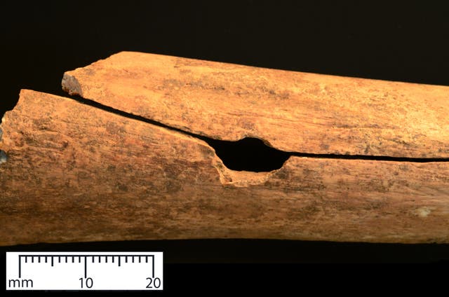 Medieval arrows caused similar injuries to gunshots, say archaeologists ...
