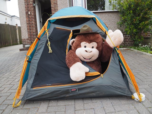 Giant monkey amuses residents in Kent town - Jersey Evening Post