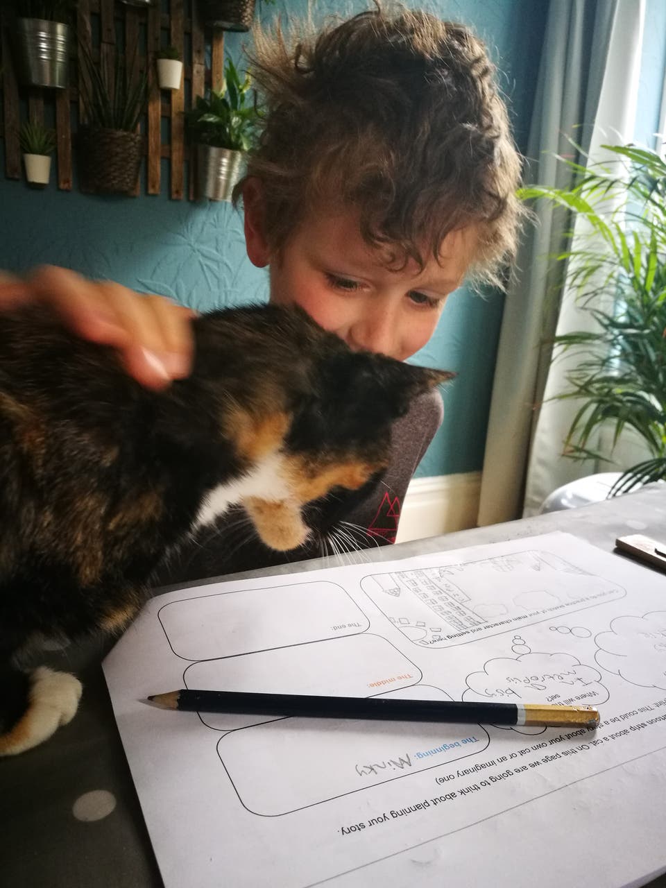 Cats to be rewarded for lockdown contribution in celebrity awards ...