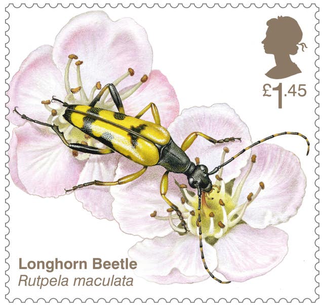 It’s a bugs life: New stamps celebrate pollinating insects - Jersey ...