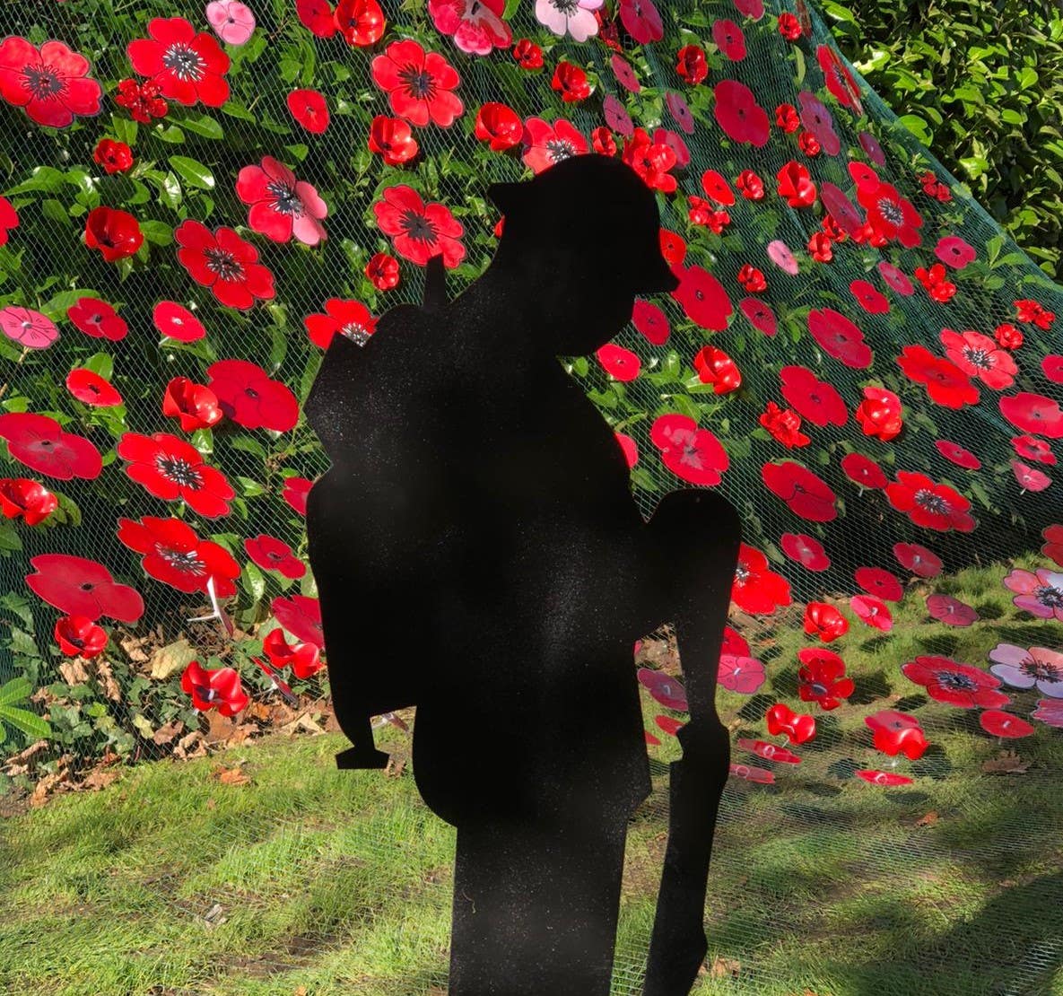 ‘Team effort’: Surrey care home’s handmade poppy cascade marks ...