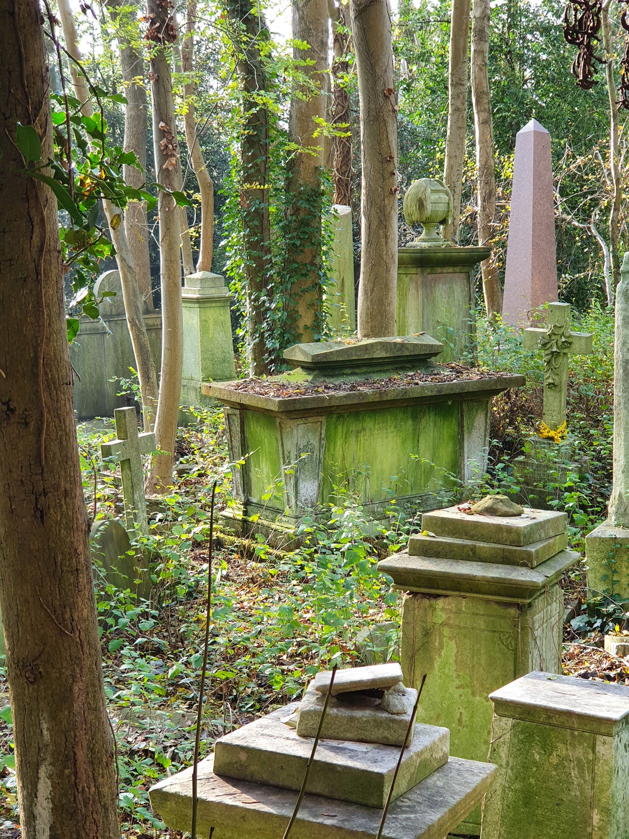 Competitions launched to conserve world-famous Highgate Cemetery ...