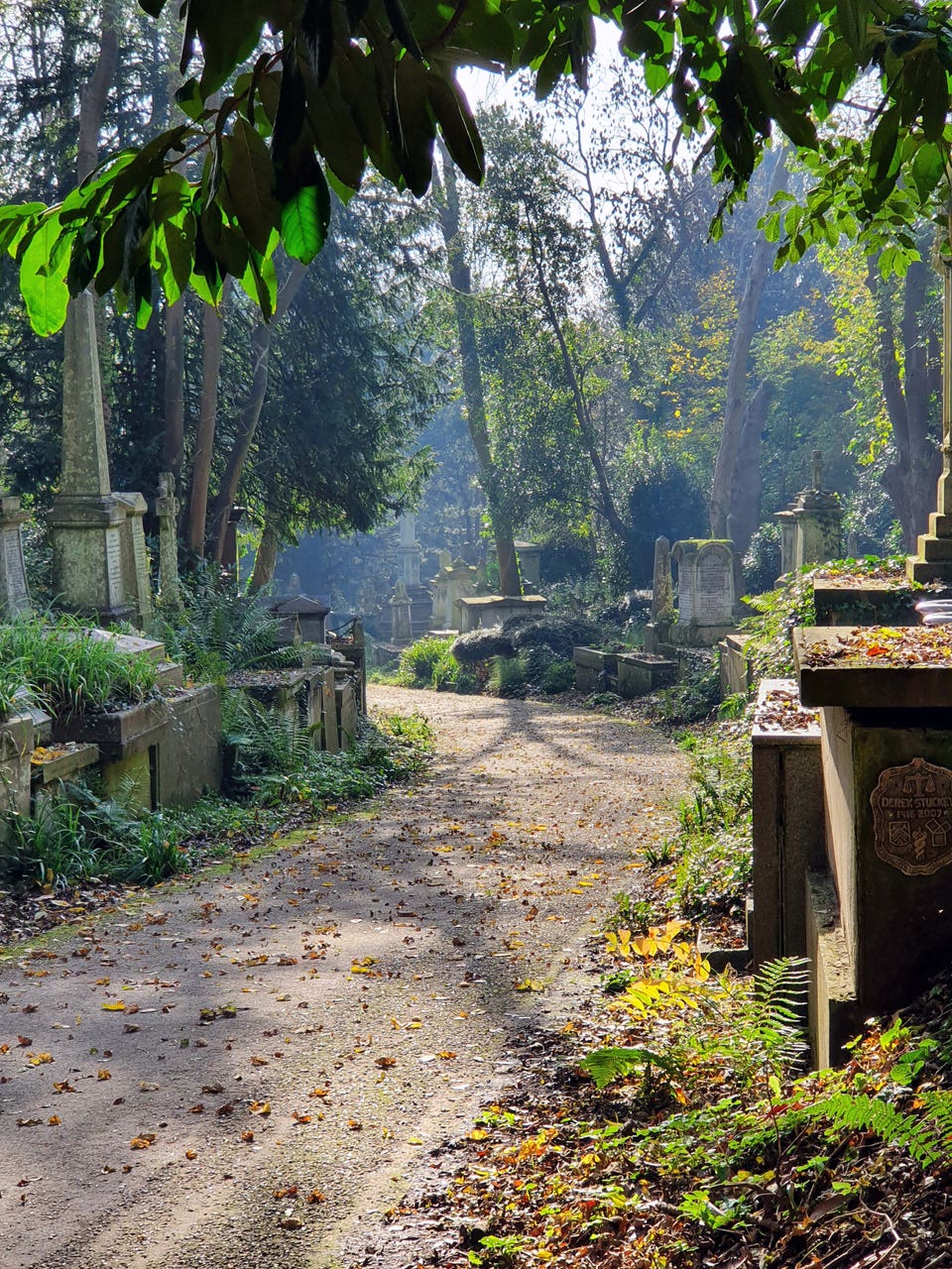Competitions launched to conserve world-famous Highgate Cemetery ...
