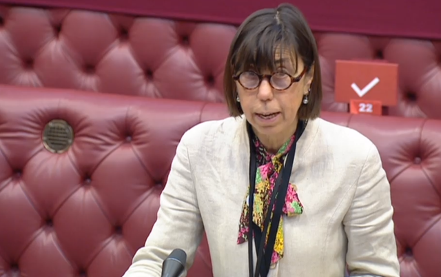 Ex-home secretary warns of ‘major gap’ in dealing with harmful online ...