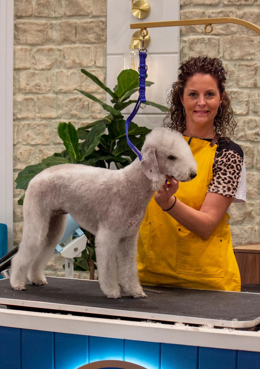 Pooch Perfect winner crowned | Express & Star