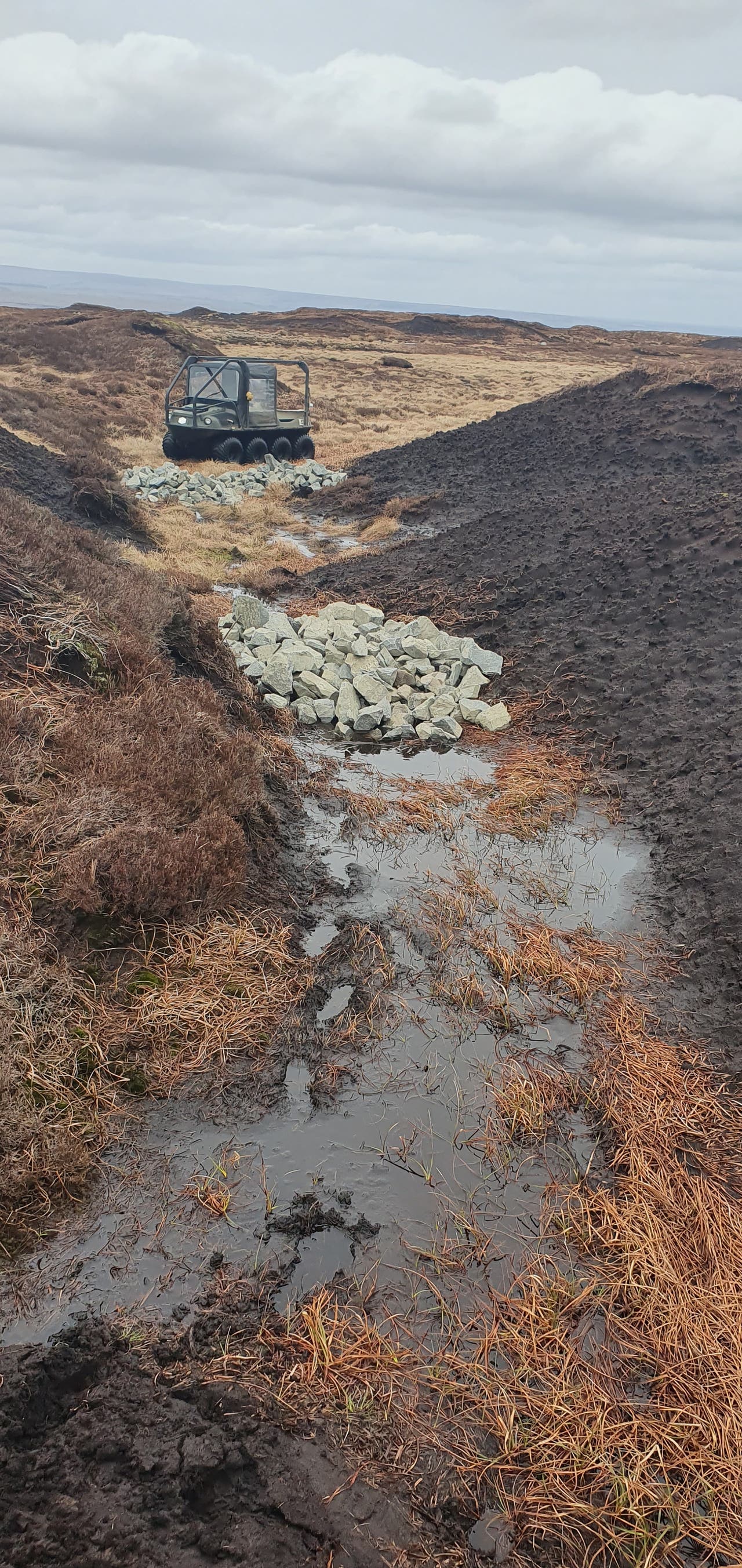 Peat restoration on grouse moors helping cut carbon emissions, managers ...