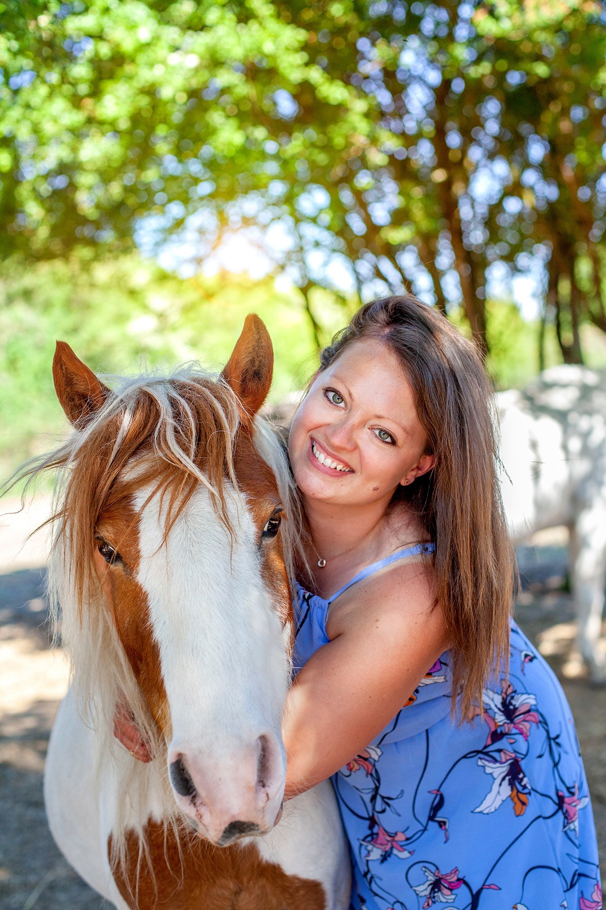 Horses Provide Comfort To Cancer Patients Thanks To Service Set Up By horses-provide-comfort-to-cancer-patients-thanks-to-service-set-up-by