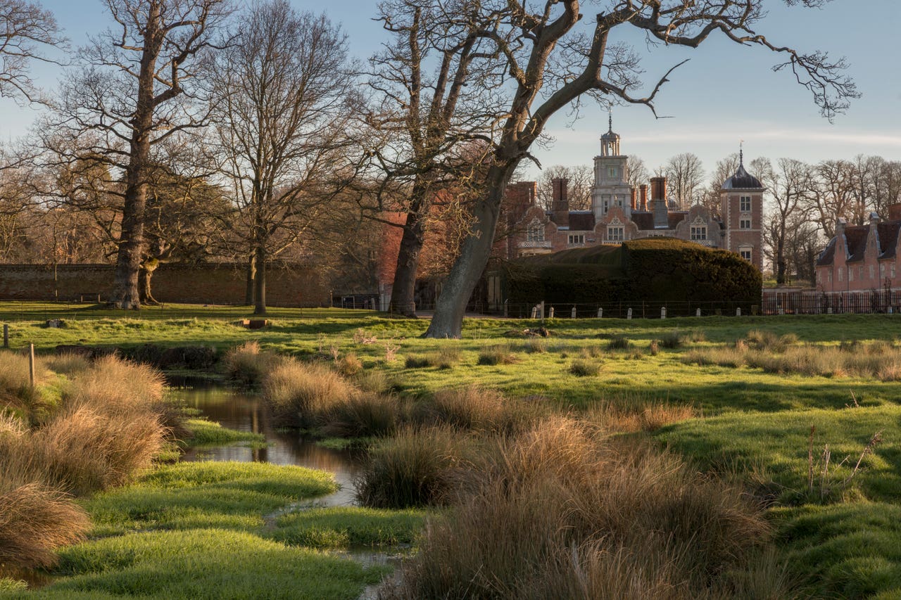 Conservation project to return Norfolk chalk stream to former glories