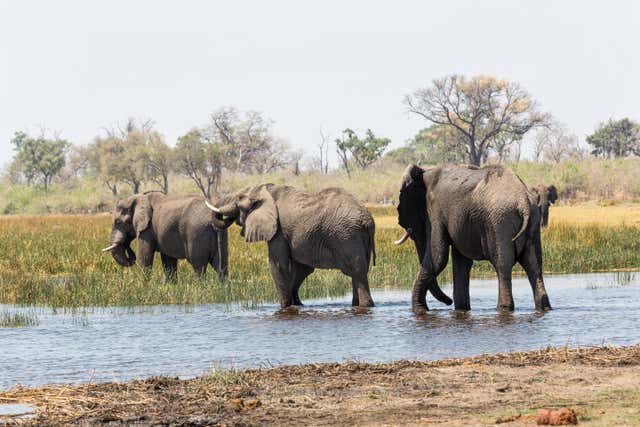 Where to explore the world's best wetlands | YourLifeChoices