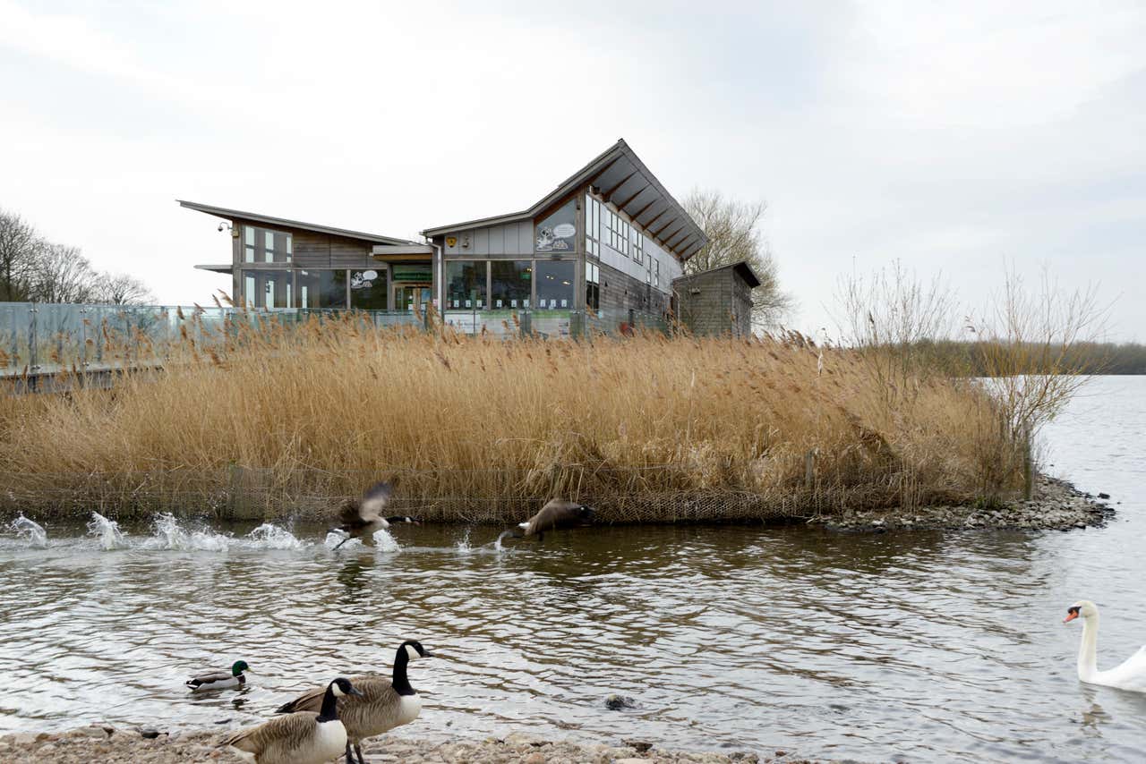 Where to explore the world's best wetlands | YourLifeChoices