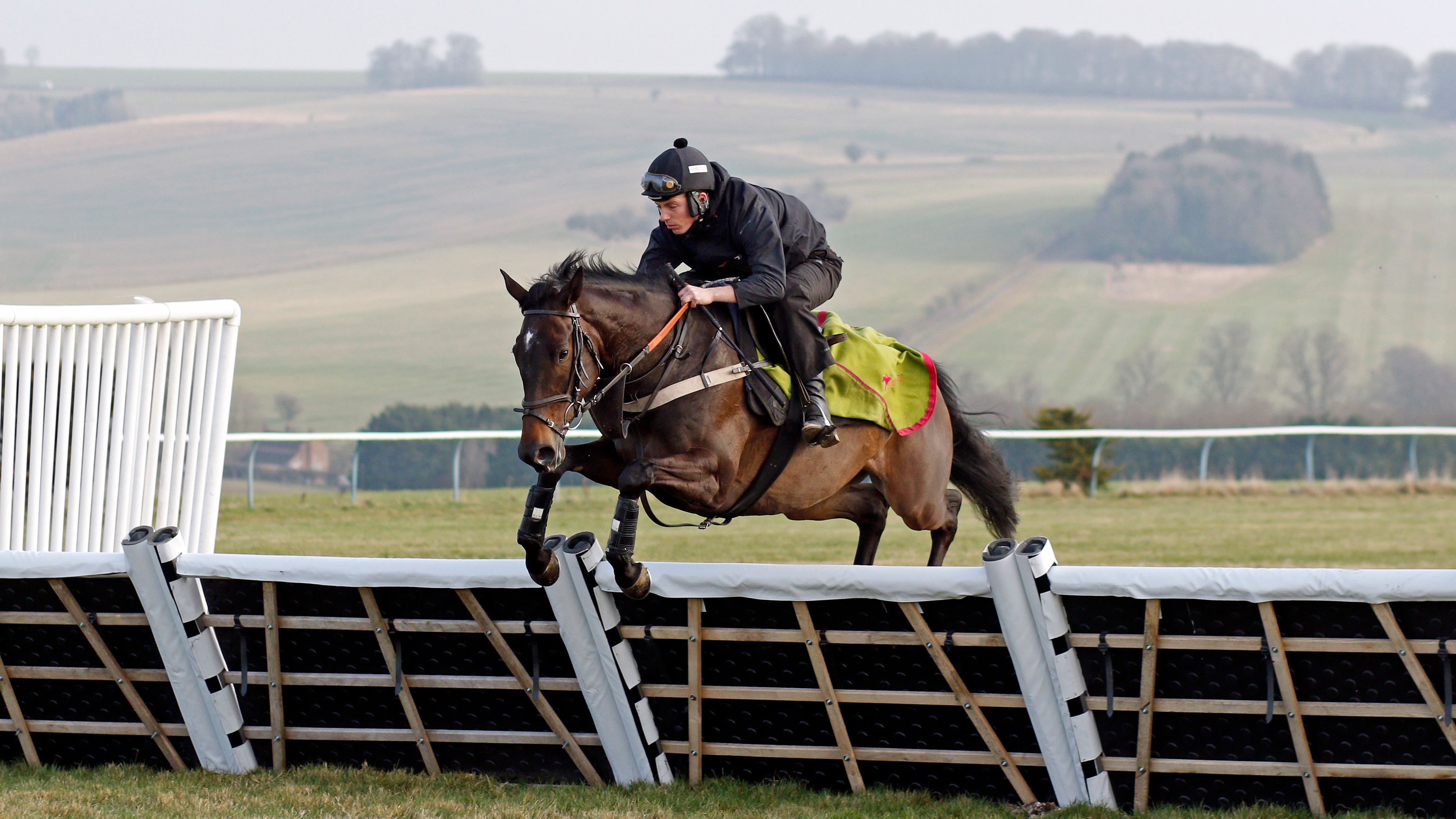 Hurdles and fences to turn white to further aid horse welfare