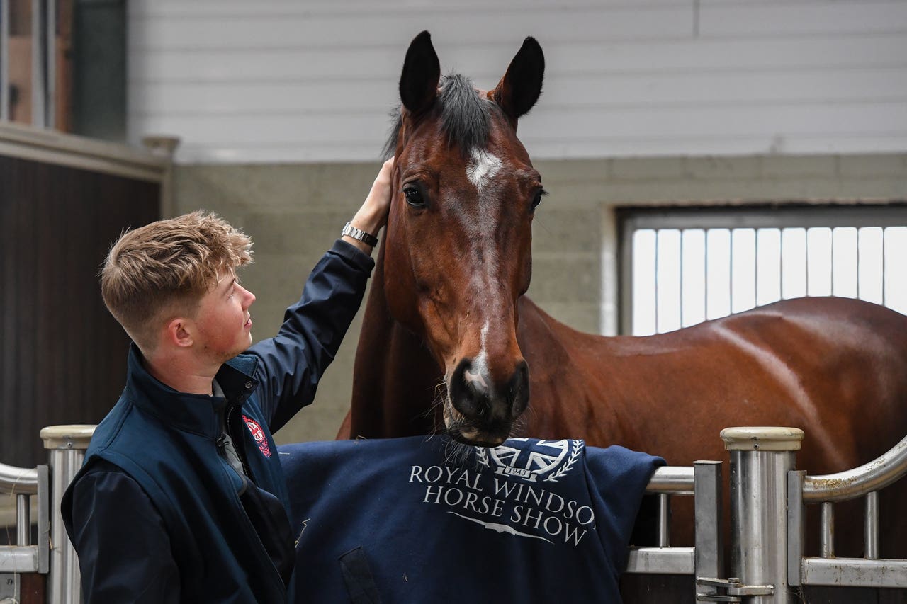 Harry Charles chasing World Cup glory after riding into showjumping’s ...