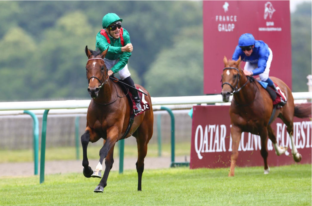 Killarney Racecourse: Today's Results & Betting