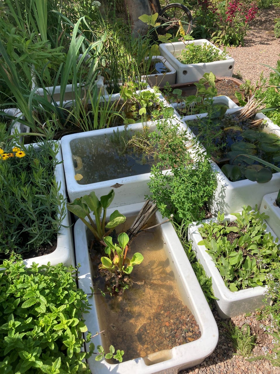 How to create a sustainable garden using old junk and rich planting