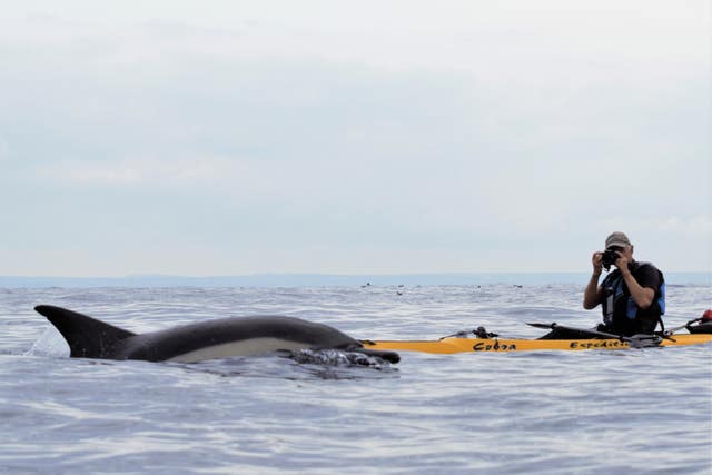 Cornwall kayaker captures ‘thrilling’ footage of close encounter with ...