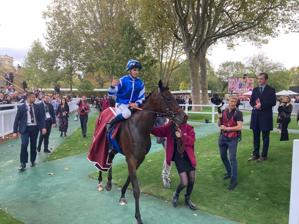 Jockey Statistics & Results: Miss Olive Nicholls