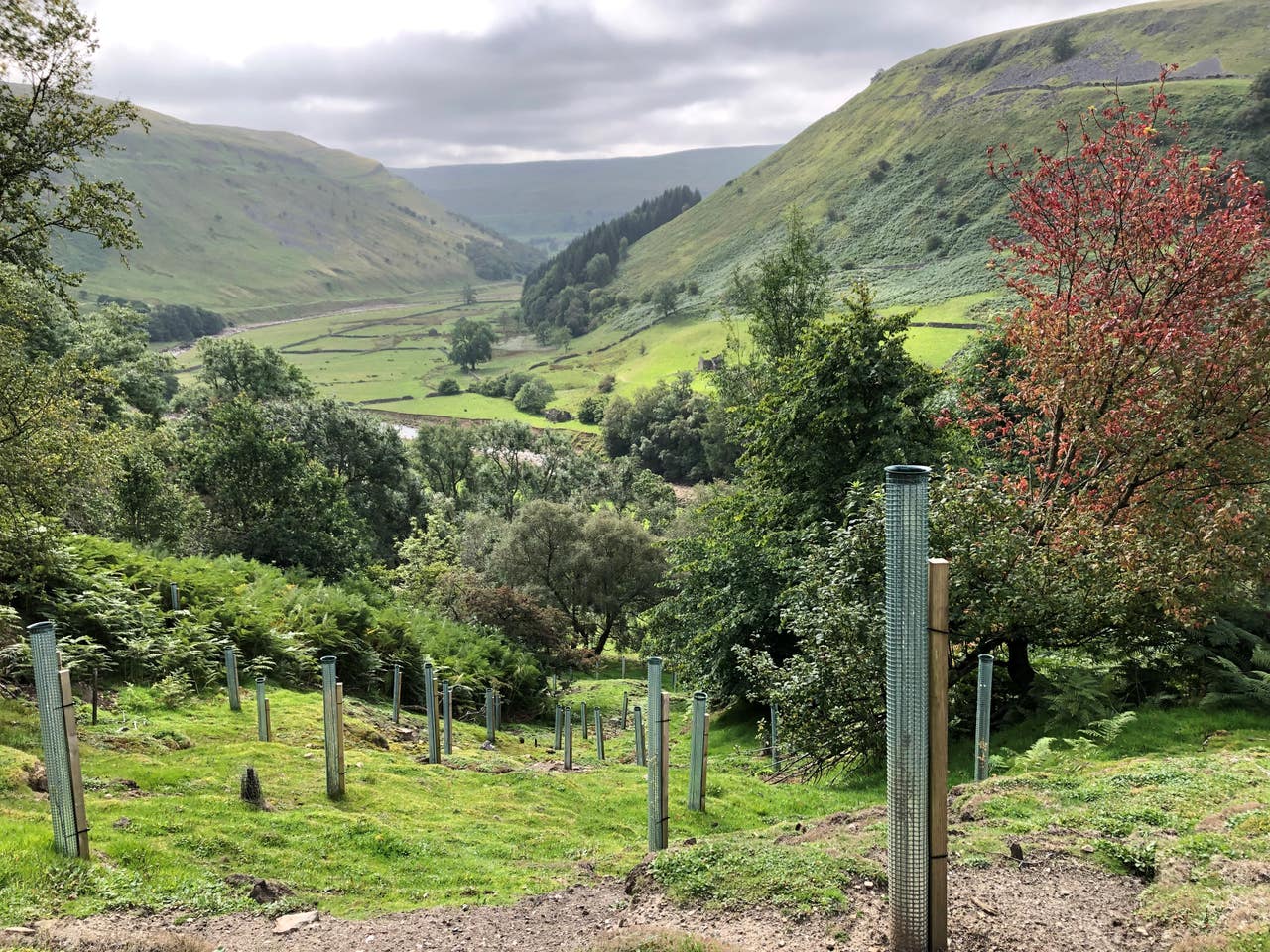 PM urged to fast track not back track on ambitious nature-friendly ...