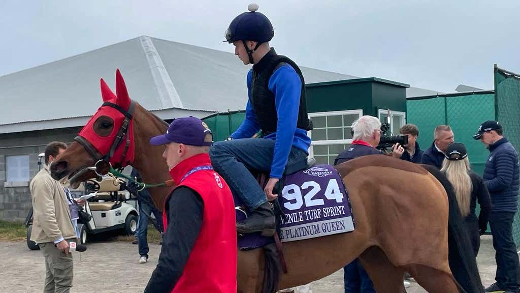 Middleham Park savouring ‘chance of a lifetime’ with The Platinum Queen