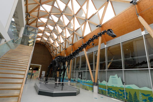 Dippy The Dinosaur Unveiled In New Coventry Residence Jersey Evening Post