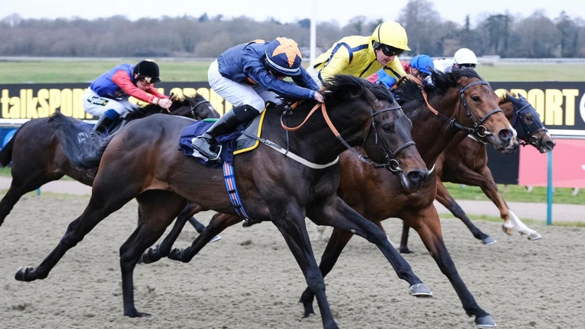 James Tate set to unleash pair of smart performers this week