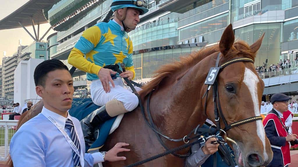 Japan dominate as Derma Sotogake strikes in the UAE Derby