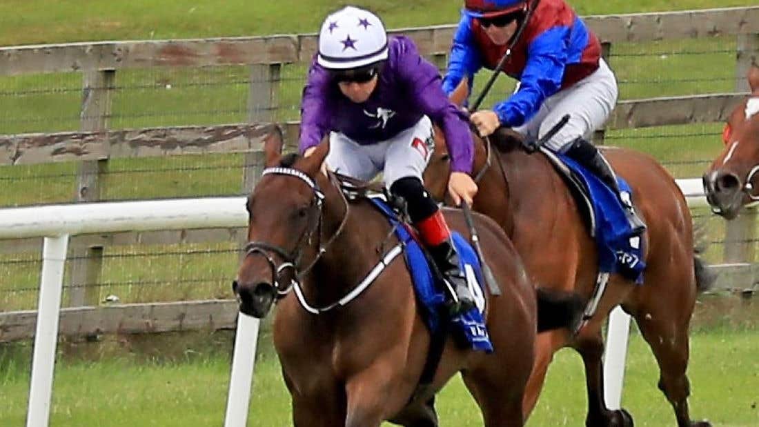 In-form Amo team mount dual assault on Fred Darling prize