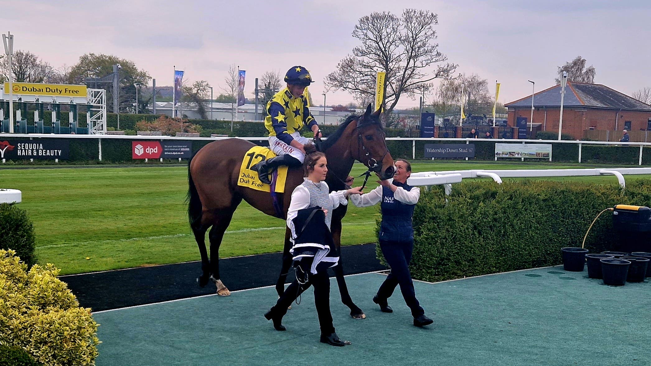 Hugo Palmer keen on Guineas bid with Stenton Glider