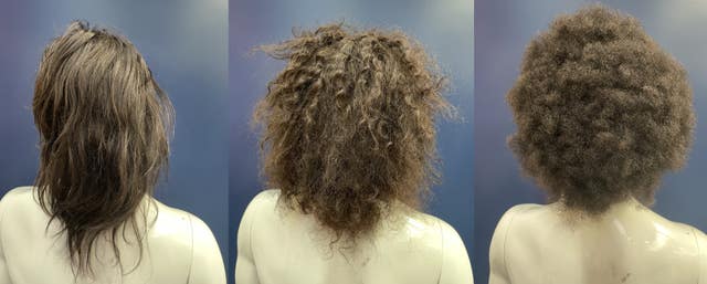 Curly hair may have evolved to keep early humans cool, study suggests ...