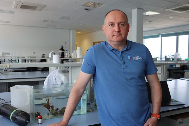 ‘Cocktail of chemicals’ including pesticides and cocaine found off ...