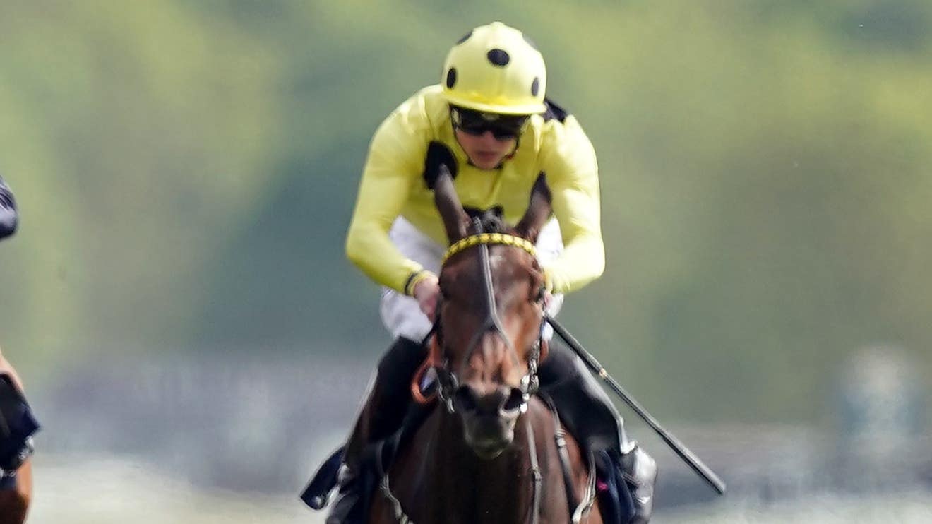 Newmarket report: Novakai stamps class on Aphrodite field