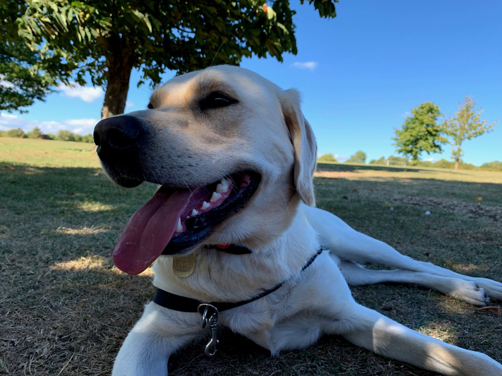 Manager with HIV who felt ‘shame' and had £70,000 of debt after ...