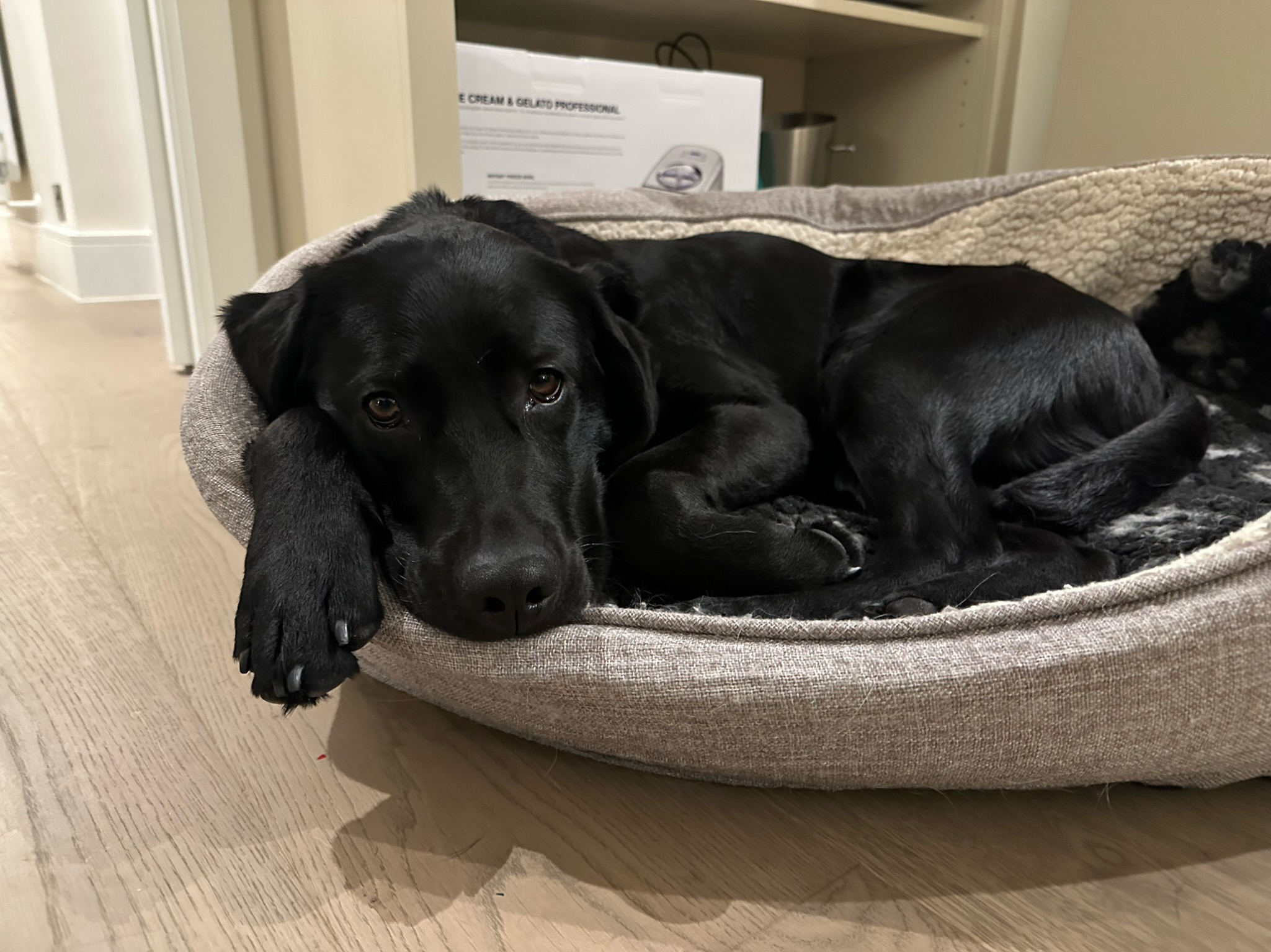 Manager with HIV who felt ‘shame' and had £70,000 of debt after ...