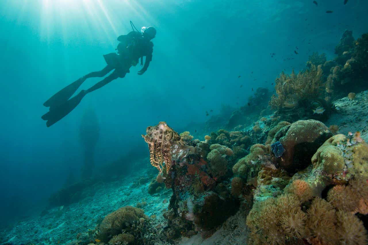 How deep is the ocean and what’s at 3,900 metres?