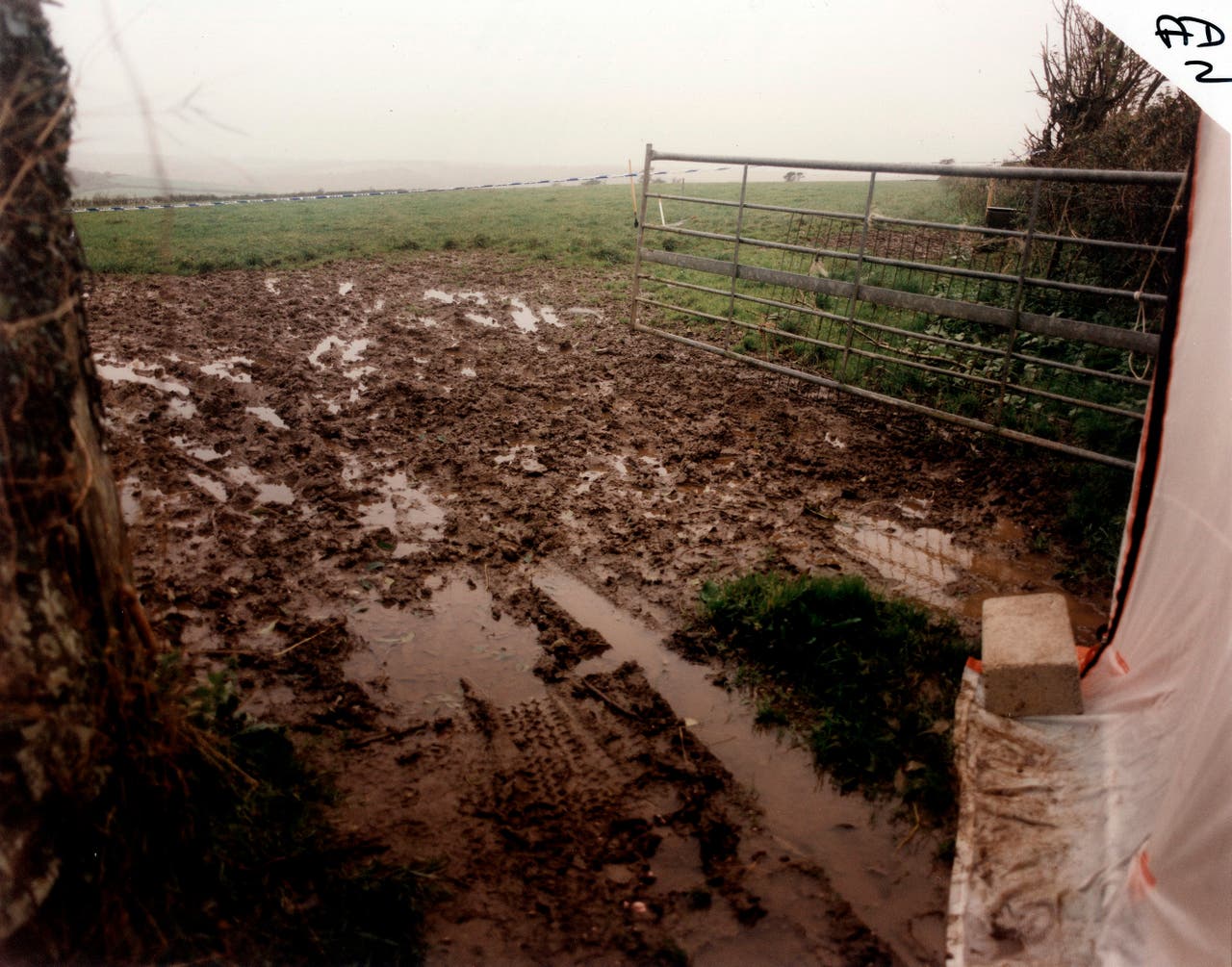 Timeline: 25 years since murder of Linda Bryant in Cornish field ...
