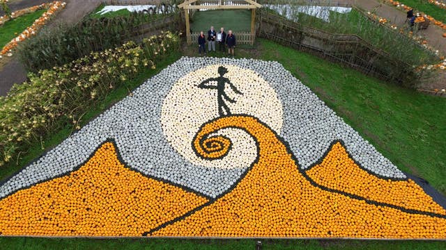 Spook-tacular Tim Burton-inspired pumpkin and squash mosaic sets world ...