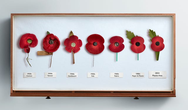 Remembrance poppies to be plastic-free this year in major redesign ...
