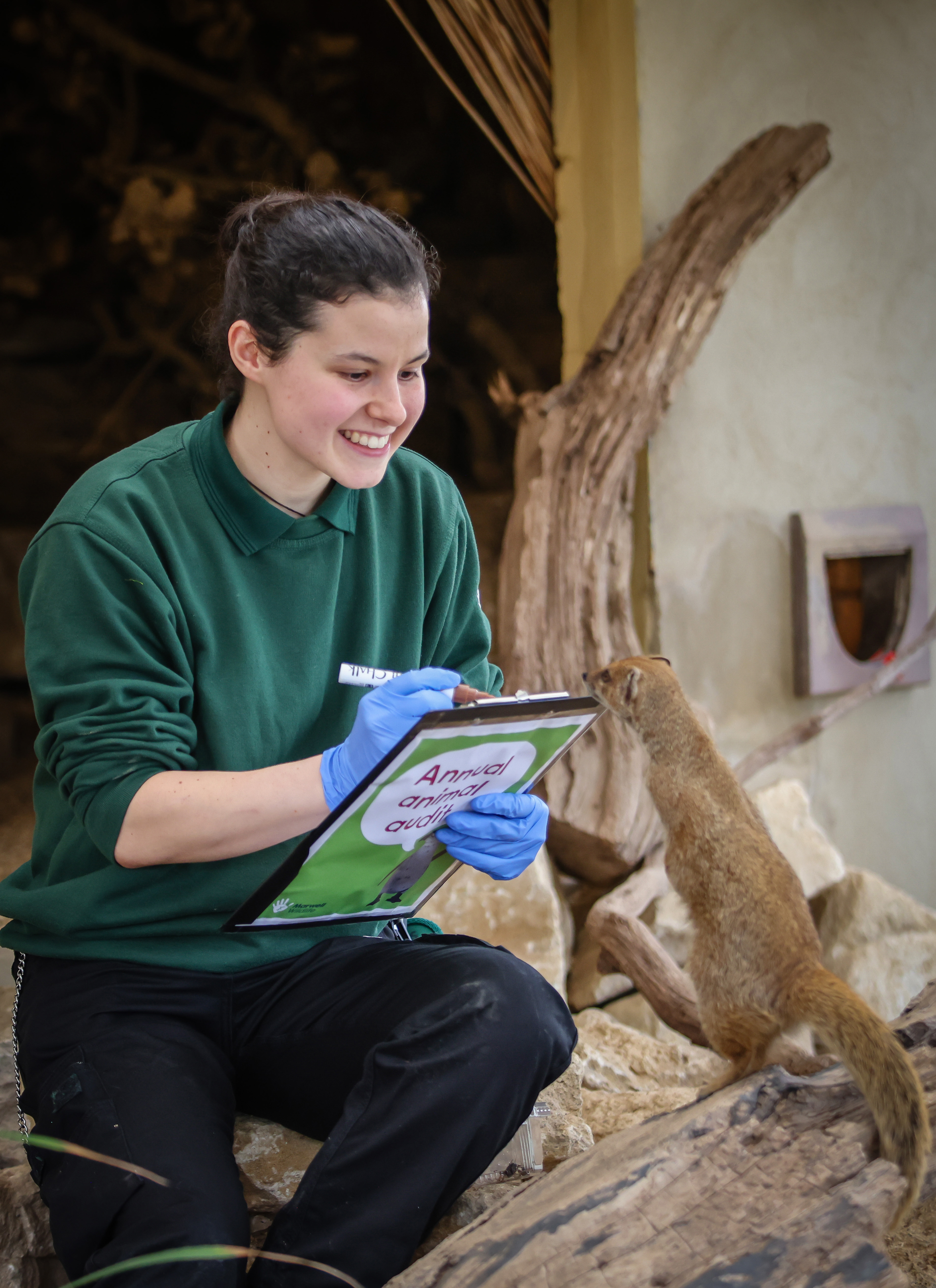Zoo staff take stock for annual animal audit - Jersey Evening Post